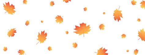 단풍 배너입니다 큰 가을 세일 가을 주황색과 빨간색 잎 배경입니다 소셜 미디어 디자인 단풍나무가 떨어지는 단풍나무 학교 프레임으로 돌아갑니다 행복한 추수 감사절 벡터 그림