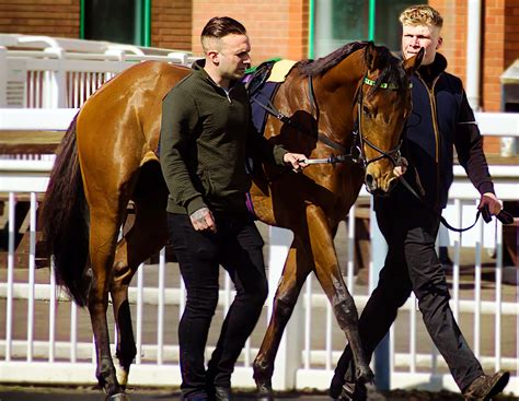 Dsc01545 Sony Dsc Benjamin Britcliffe Flickr