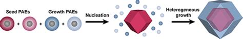Programming Nucleation And Growth In Colloidal Crystals Using Dna Acs