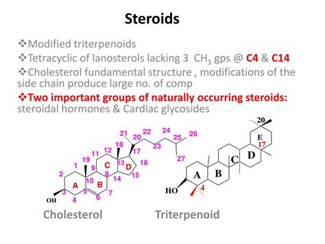 Ppt Steroids Powerpoint Presentation Free Download Id6544980
