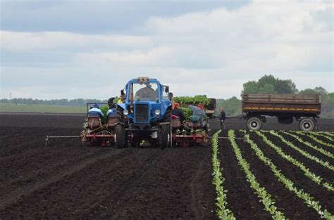 Земли сельскохозяйственного значения аренда продажа земельных угодий