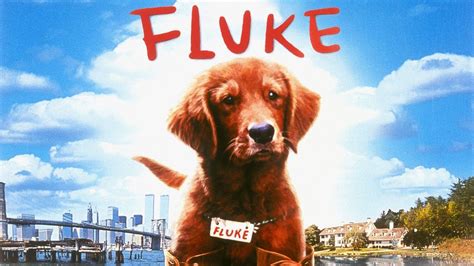 Where To Watch Fluke 1995 Full Movie Free Online Plex