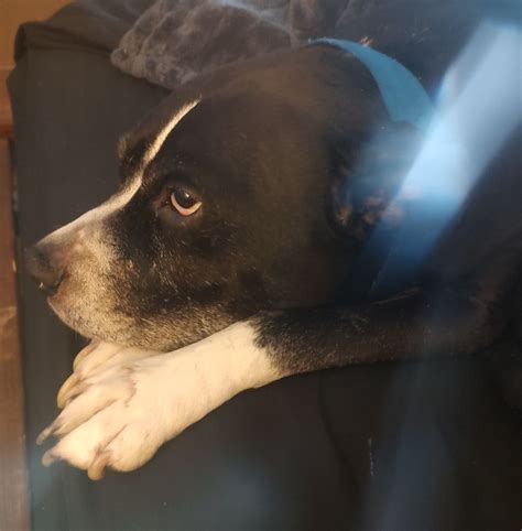 Mykhailo Viktorovych Polyakov From News 12 26 Augusta Facebook