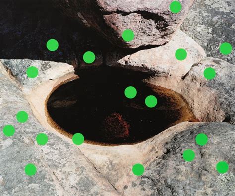 Rebecca Najdowski Expérimentations Et Désastre écologique