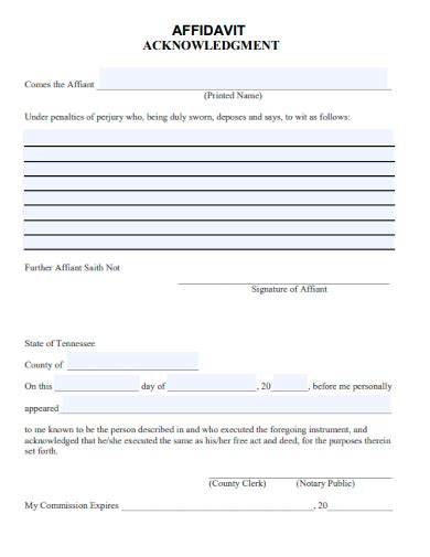 General Affidavit Template Word