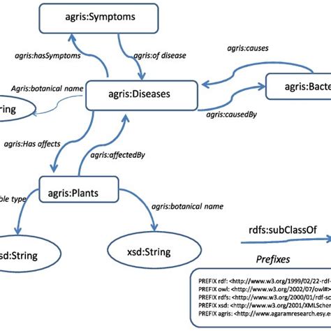 reference ontology for semantic based qa download scientific diagram