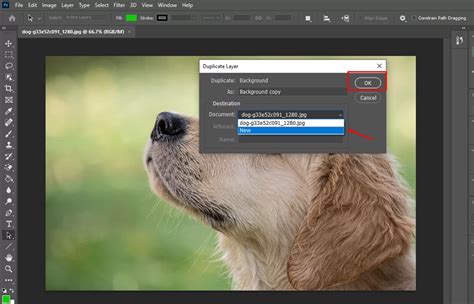 How To Duplicate In Photoshop Tech Lounge