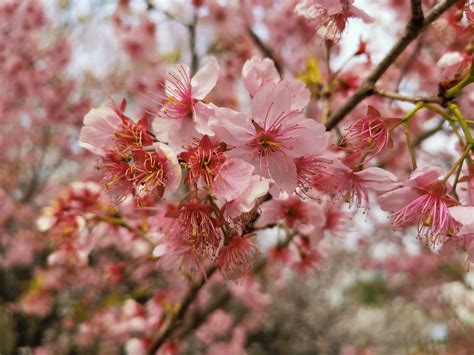 《数字逻辑与数字电路》复习梳理 知乎