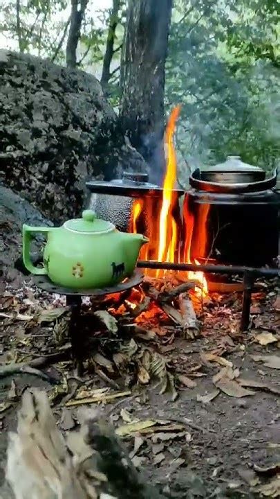 صبحبخیر جنگل چایی آشپزی طبیعتگردی طبیعت تفریح نوروز Nature