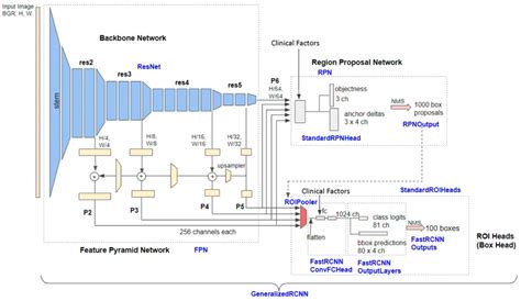 Detailed Architecture Of Base Rcnn Fpn Adapted From H Honda [21] Download Scientific Diagram