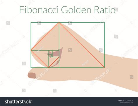Graphical Explanation Algorithm Fibonacci Human Fist Stock Vector