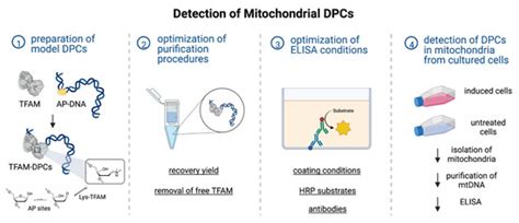Dna An Open Access Journal From Mdpi