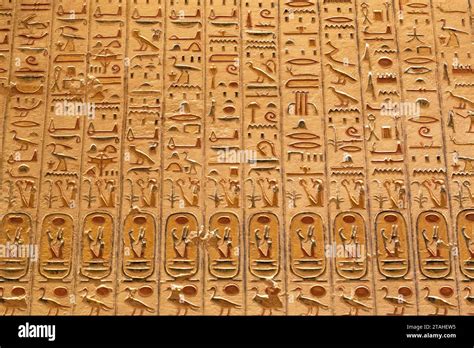 Egyptian Hieroglyphics On Tombs 1535x2048