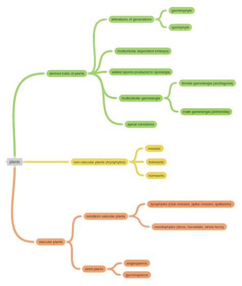 Plants Coggle Diagram Plants Coggle Diagram