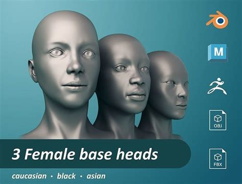 3d Model 3 Female Base Heads Vr Ar Low Poly Cgtrader