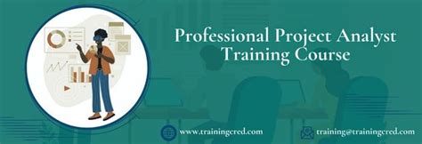 Professional Project Analyst Training Course