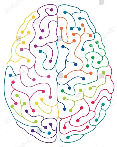 Why The Brain Likes To Make Patterns New And Improved