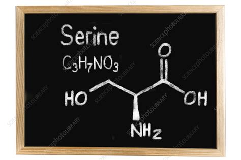 Structure Of Serine