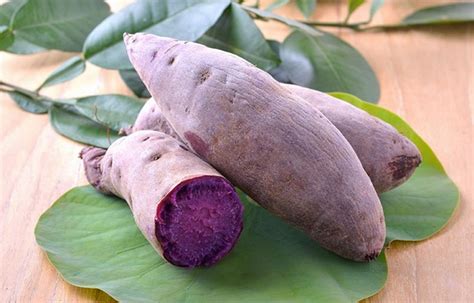 Ube Purple Yam Powder 100 Pure Ube 16 Oz 1 Lb By Tropics