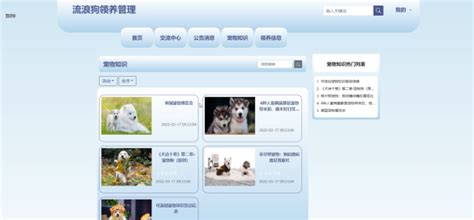 （附源码）springboot流浪狗领养管理系统 毕业设计260839留守宠物喂养系统项目springboot Csdn博客