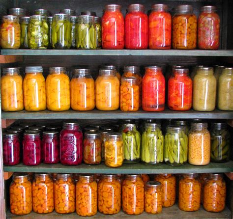 Home Food Canning At Emily Matthews Blog