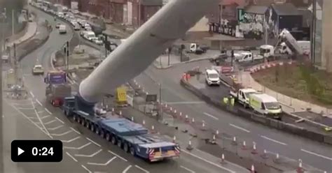 Your Moms Dldo Is Here 9gag