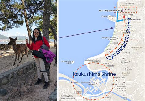 Day 2 Miyajima Itsukushima Shrine Come And Travel With Us