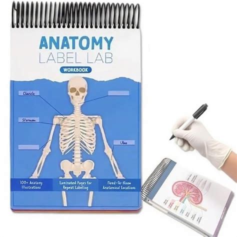 Labeling Worksheets Pdf Anatomy Label Workbook Workbook 100 Full