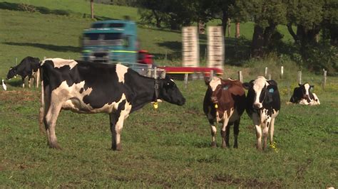 Bridging The Gap Between Producer And Consumer Nbn News