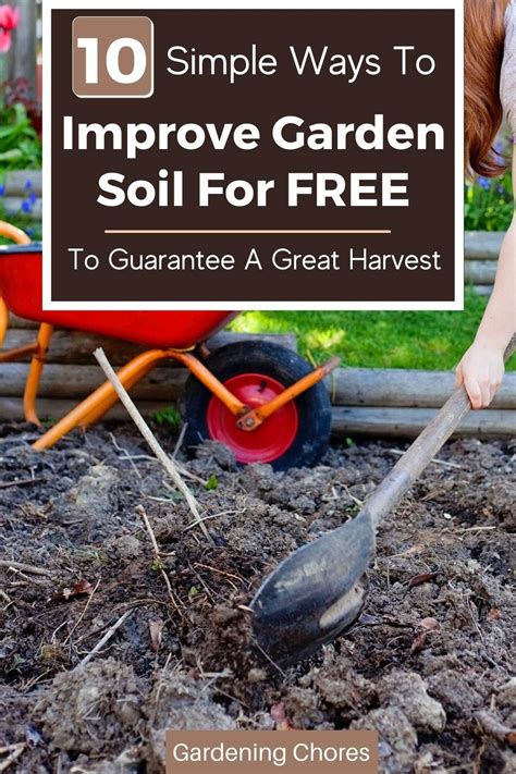 10 Practical Ways To Improve Your Soil System