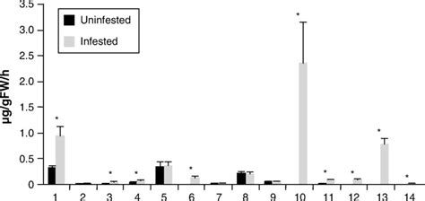 Volatile Emissions From Maize Plants Infested With M Separata After Download Scientific