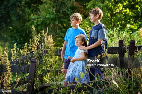 세 형제 자녀의 초상화 두 아이 형제 소년과 꽃 초원에 함께 재미를 작은 귀여운 유아 자매 소녀 행복한 건강한 가족 놀이 걷기 자연에 활동적인 레저 3 명에 대한 스톡 사진