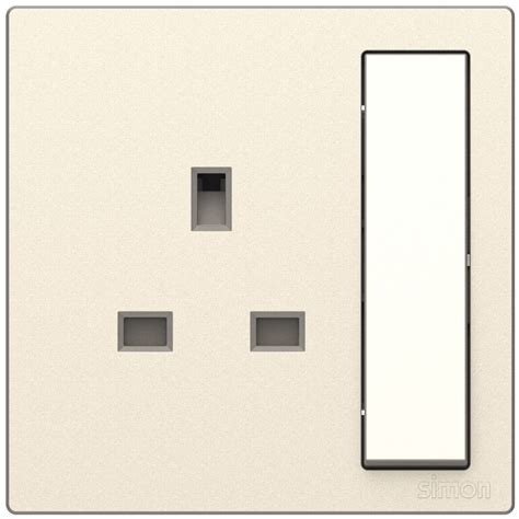 1g Bs Switched Socket Color Ecolux
