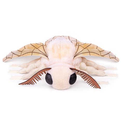 White Fluffy Moth