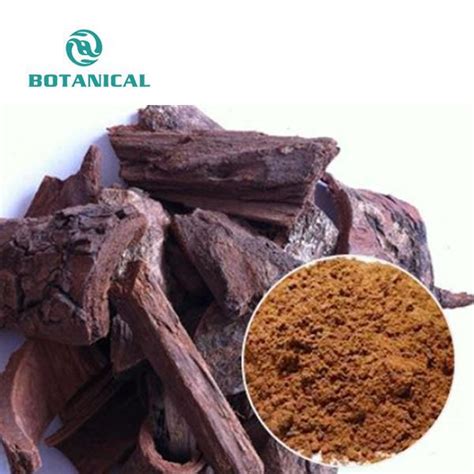 China Pygeum Africanum Extract Suppliers Manufacturers Factory Wholesale Price Botanical