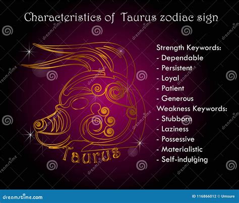 Characterestics Of Taurus Zodiac Sign Stock Vector Illustration Of