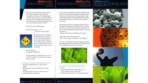 Stem Works Biotechnology Brochure Handout Stemworks Wired Theleonardo