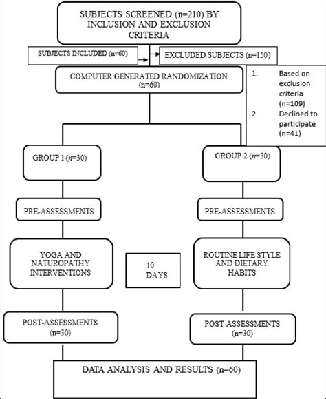 Illustration Of The Study Plan Download Scientific Diagram