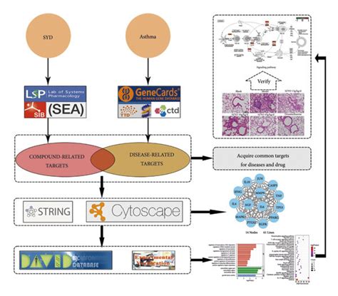 The Flow Diagram Of The Study Design Download Scientific Diagram