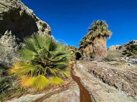 Mount Wrightson Hiking Guide Back O Beyond Mount Wrightson Hiking Guide Back O Beyond