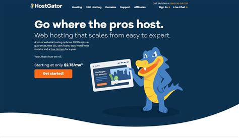 HOST GATOR REVIEW