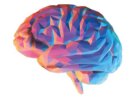 Spatial Working Memory Swm Cambridge Cognition