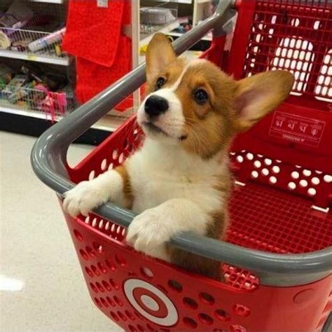 Oh My God The Movie About Rapacious Sex Demons That Torture And Mutilate People That I Was