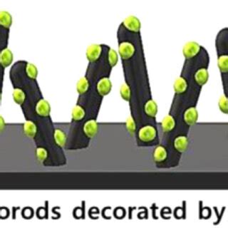 XRD Patterns Of A Precursor TiO2 Nanorod Arrays On Ti Foil And B Download Scientific