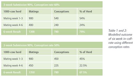 Mating Focus On The Cycling Cow Vetlife