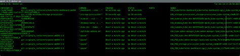 docker cannot stop 10 containers after kubernetes minikube tutorial