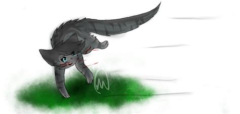 Feathertail By Lumaanous On Deviantart