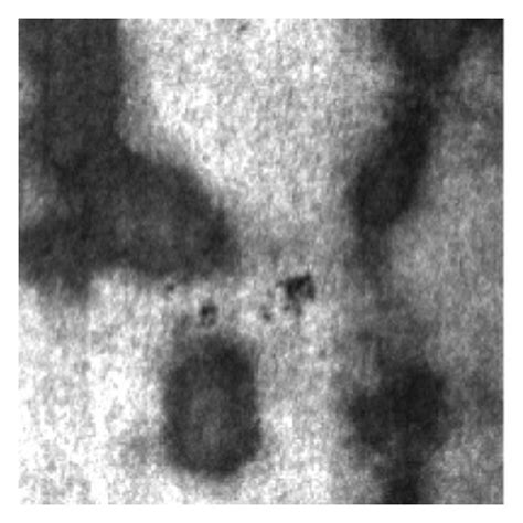 PDF A New Steel Defect Detection Algorithm Based On Deep Learning