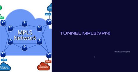 TUNNEL MPLS VPN Gamma