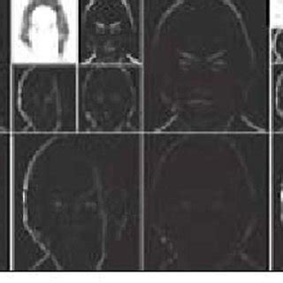 D One Level Wavelet Decomposition Download Scientific Diagram